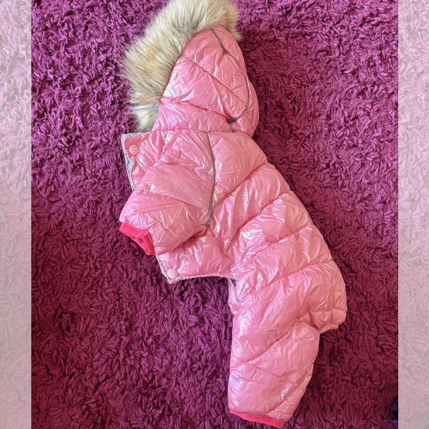 Одежда для маленьких собак