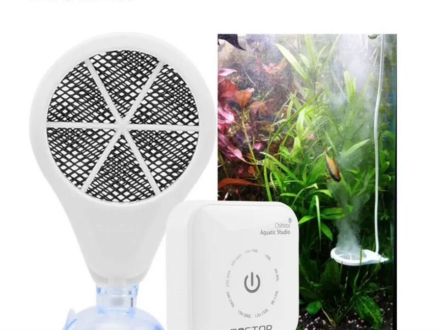 Чихирос доктор