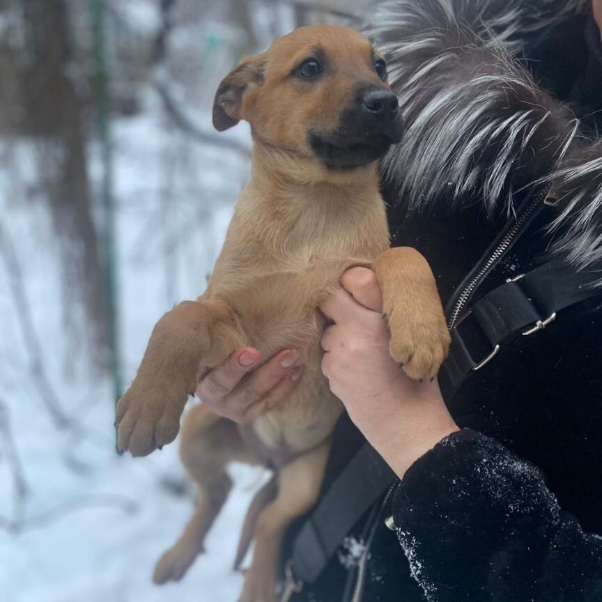 Забери свое счастье