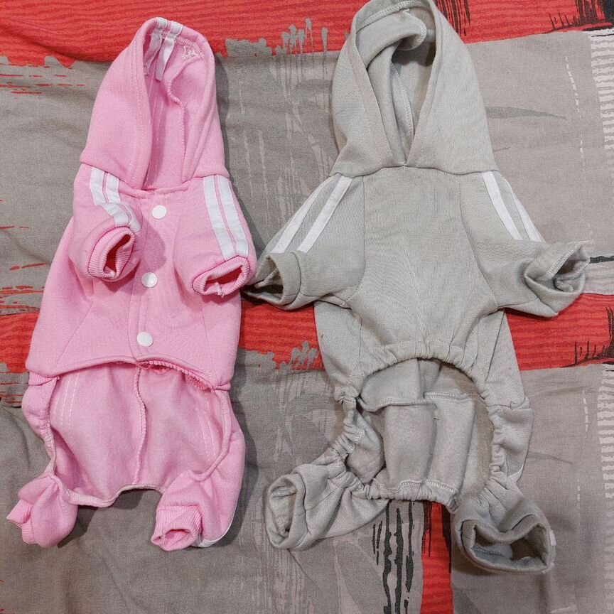 Костюм для маленькой собаки