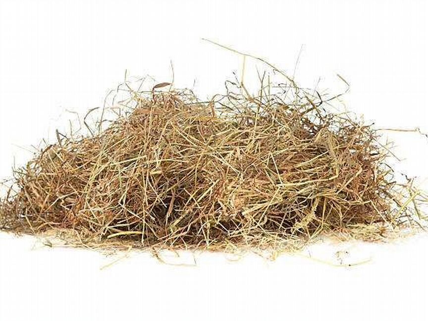 Продам сено