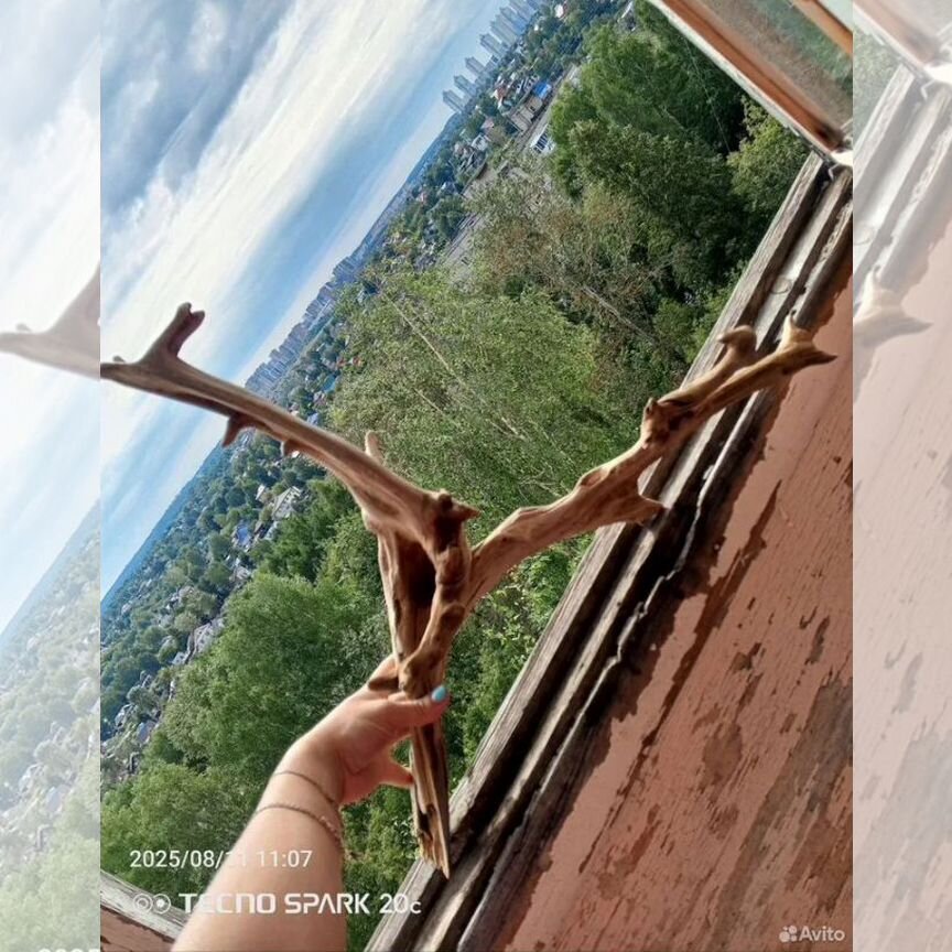 Готовые коряги для аквариума и террариума