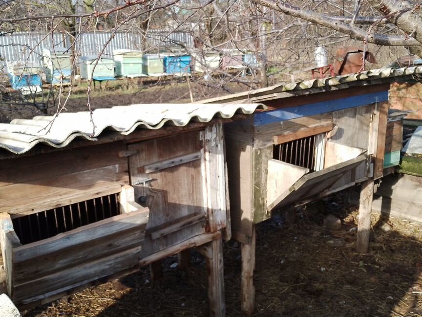 Клетки для кроликов бу