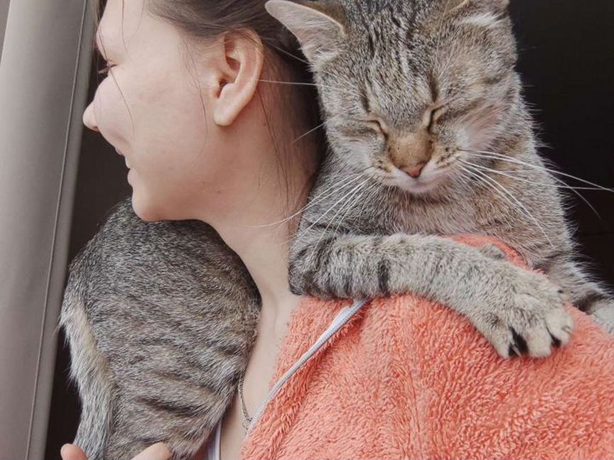 Кот Самый Ласковый в этом Мире Котик