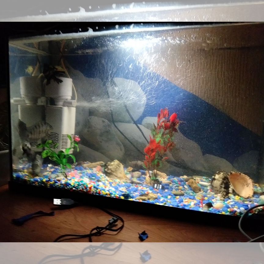 Аквариум с рыбками