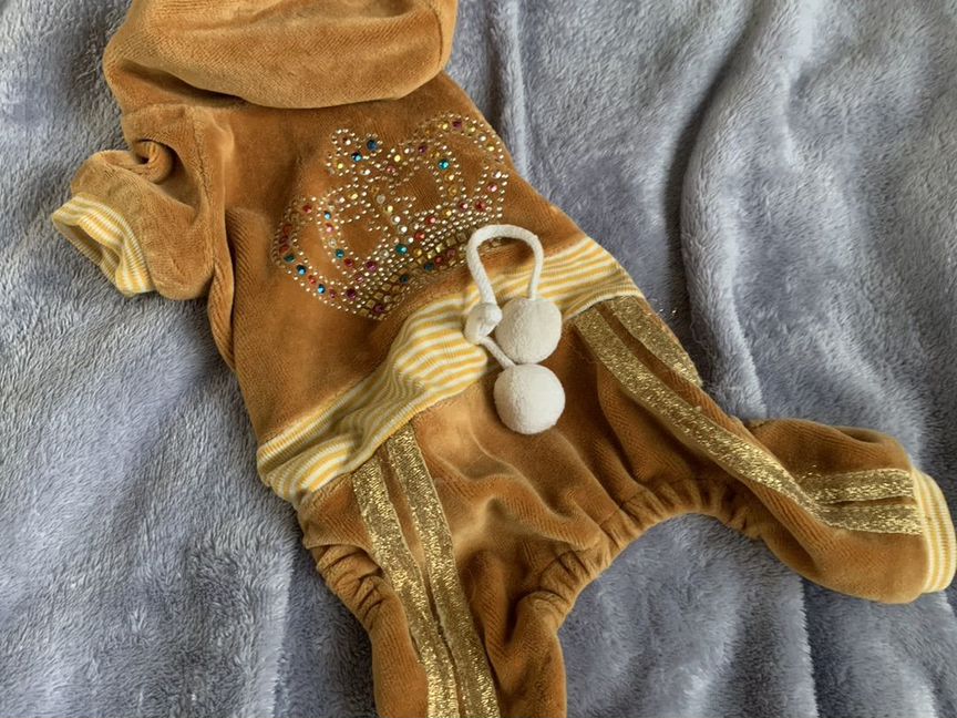 Наряды для маленькой собачки