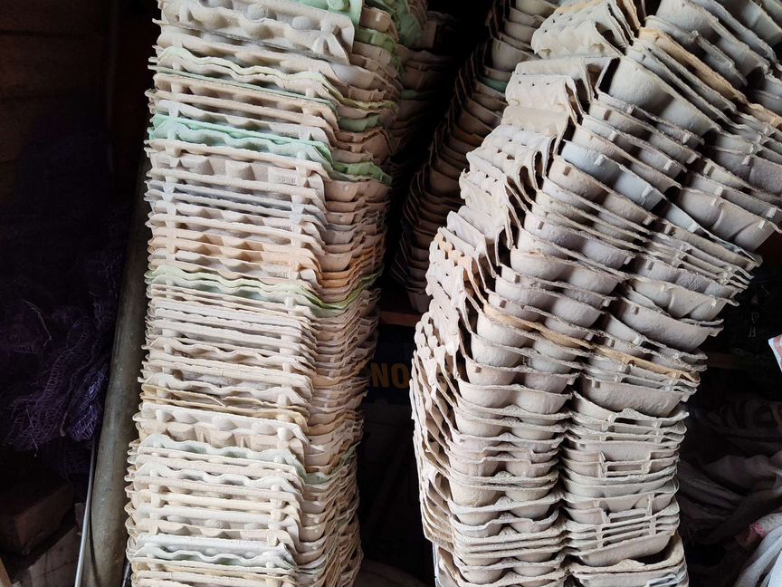 Решетки для яиц