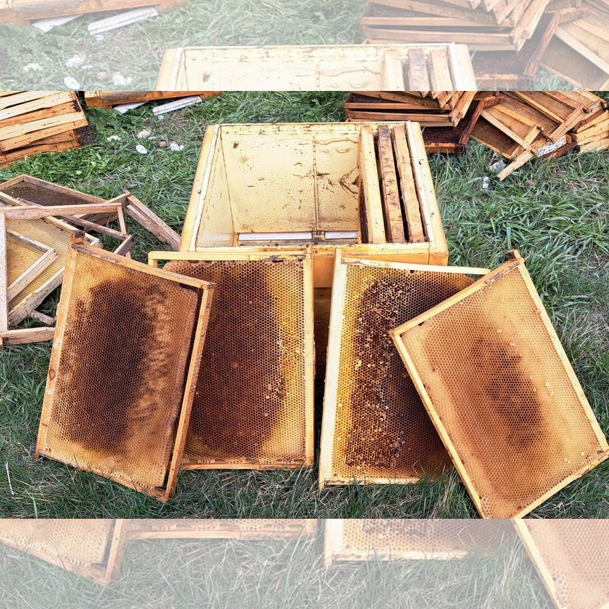 Рамки сушь дадан