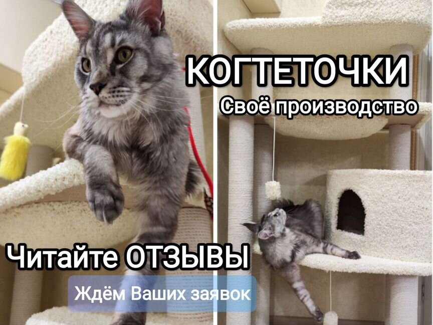 Когтеточка комплекс для кошек