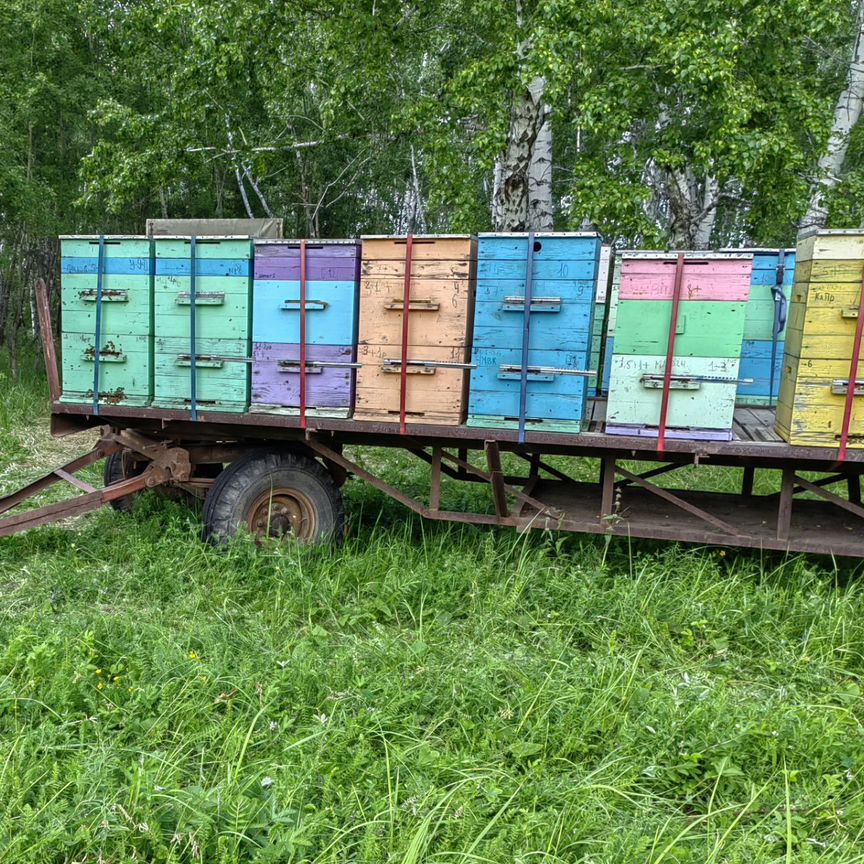 Продам пчелоприцеп, улики, пчеловодные рамки