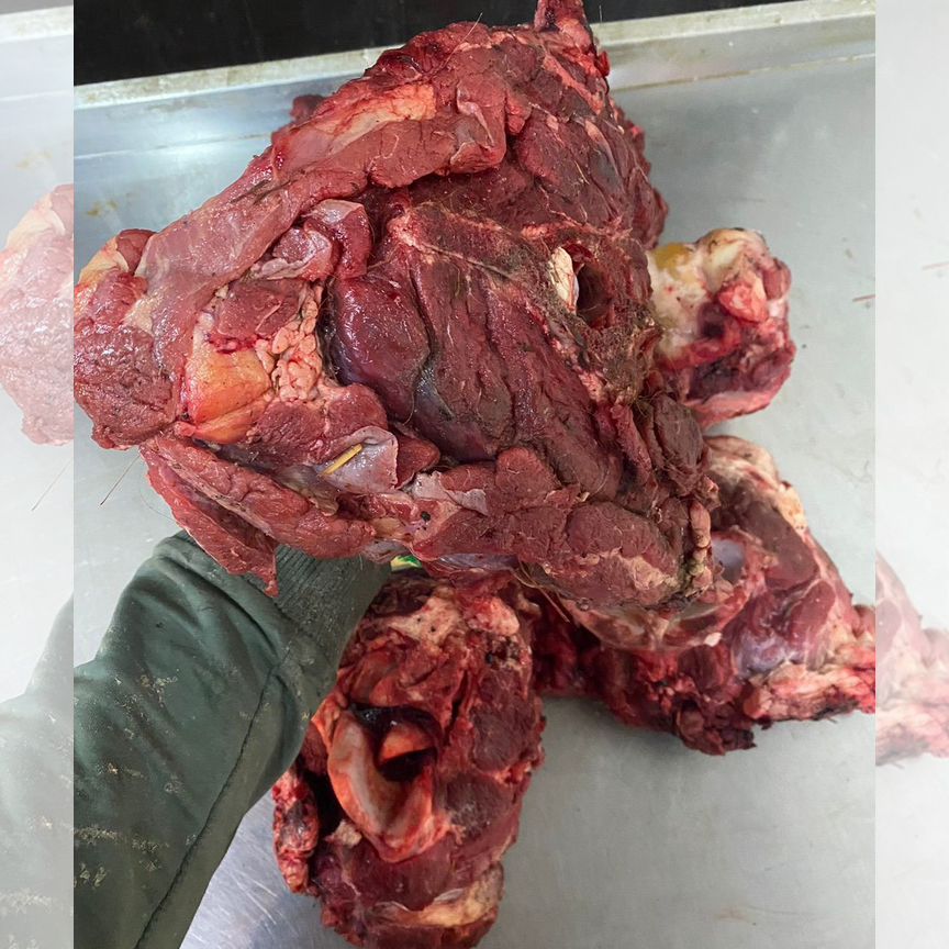 Мясо говядина для собак, от шеи головы, без жира