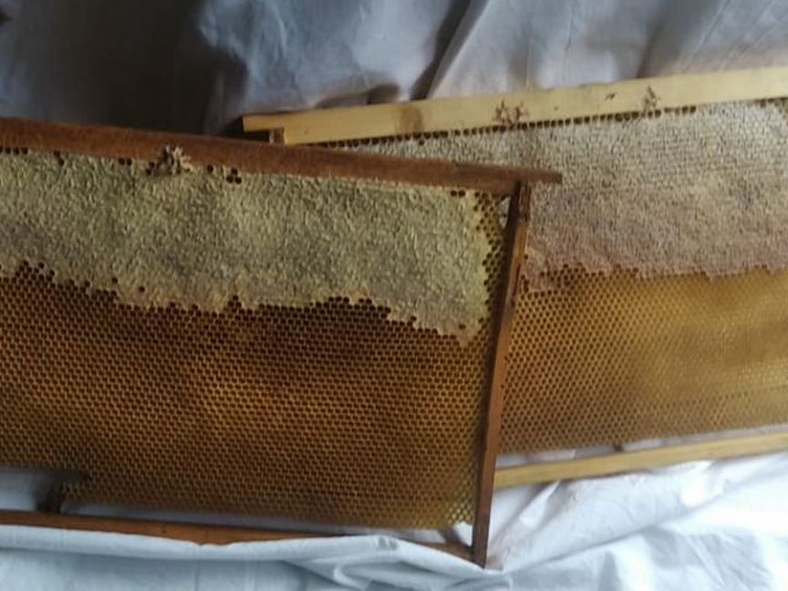 Медовые рамки