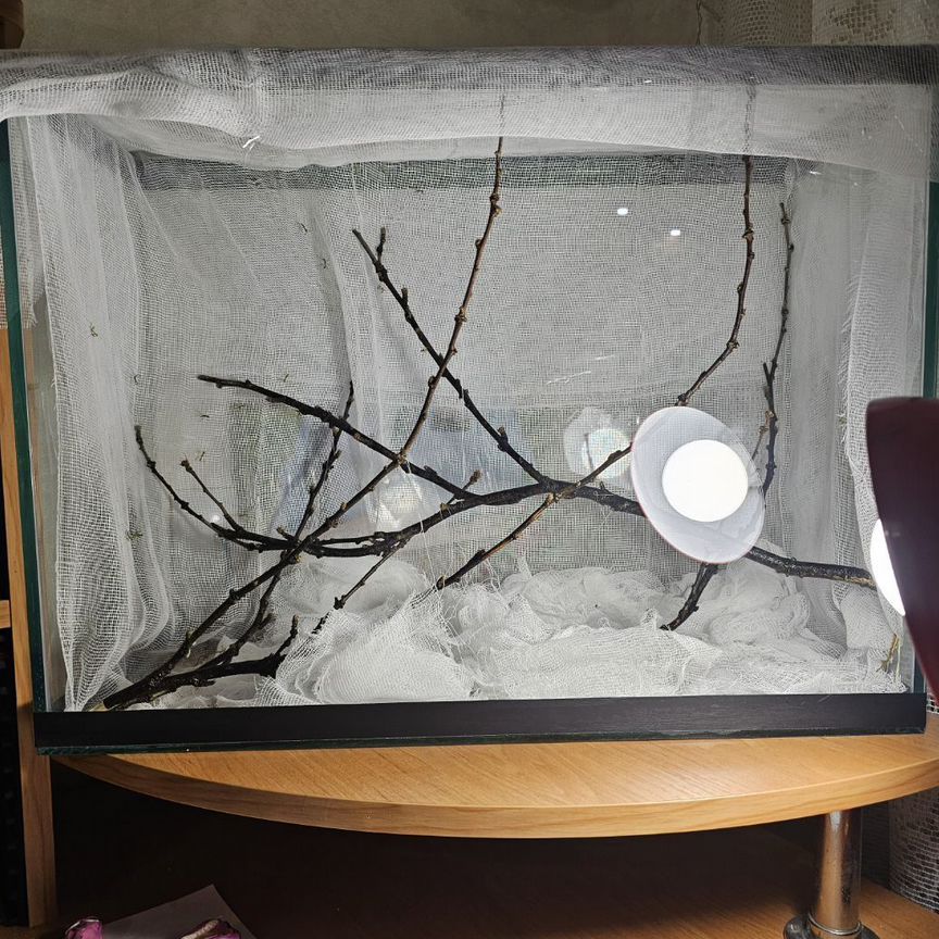 Террариум аквариум с крышкой