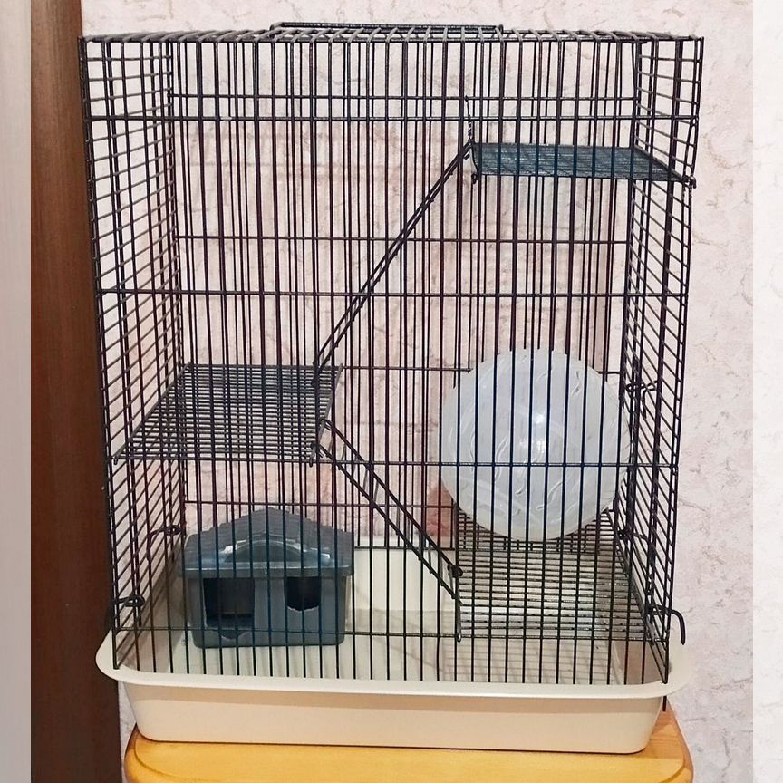 Клетка