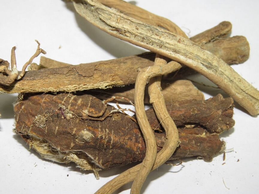 Корм для шиншилл