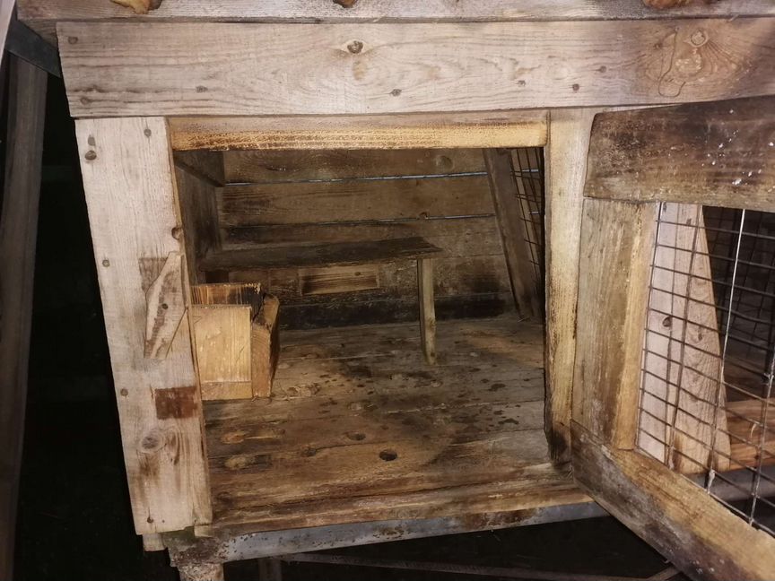 Краличье клетки