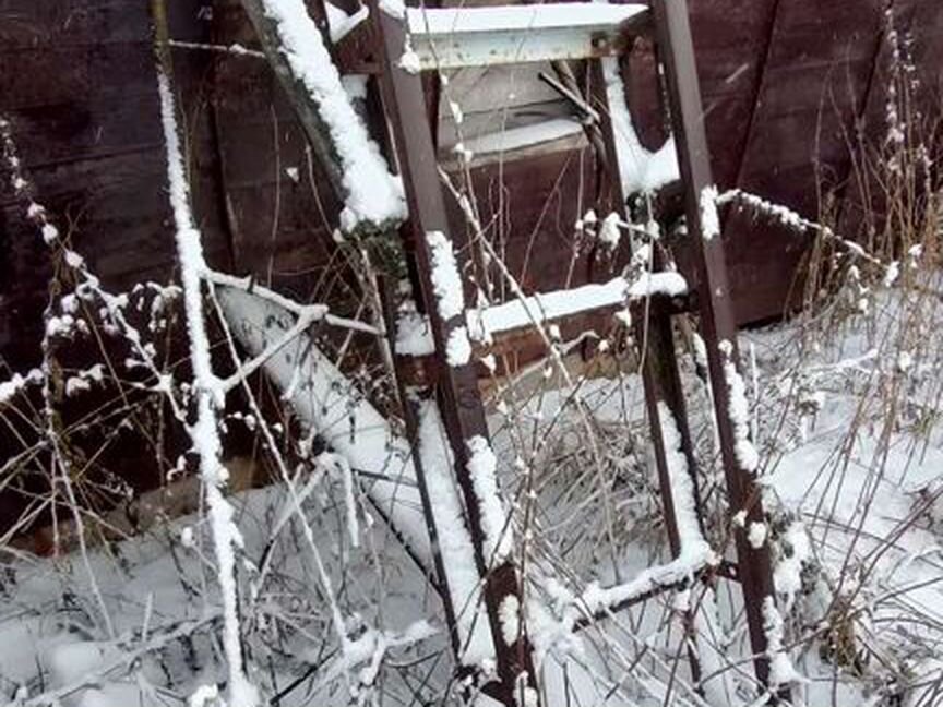 Конные сани