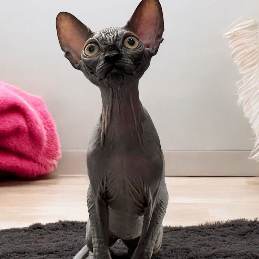 Топовые девочки