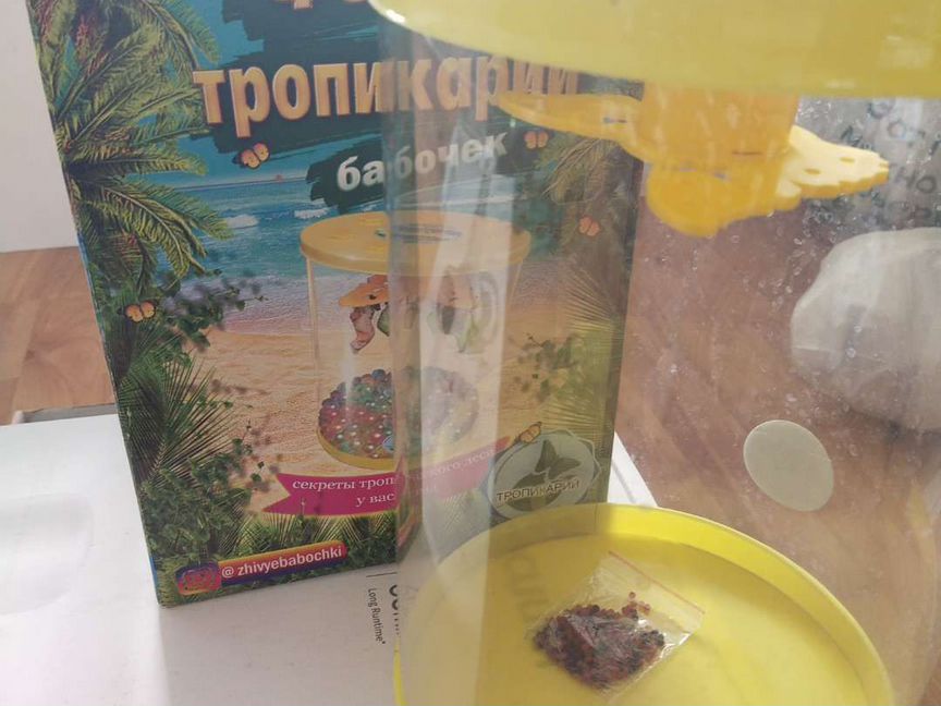 Тропикарии бабочек