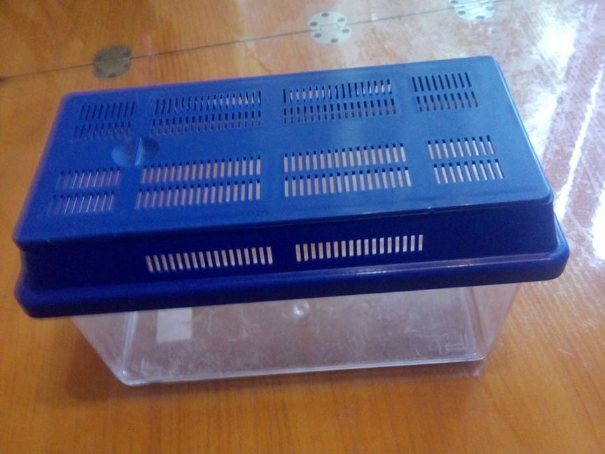 Переноска - террариум