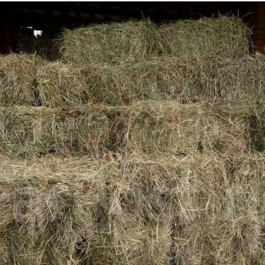 Сено в тюках