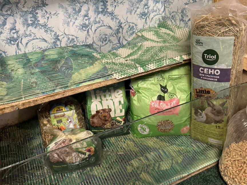 Домик клетка для морской свинки