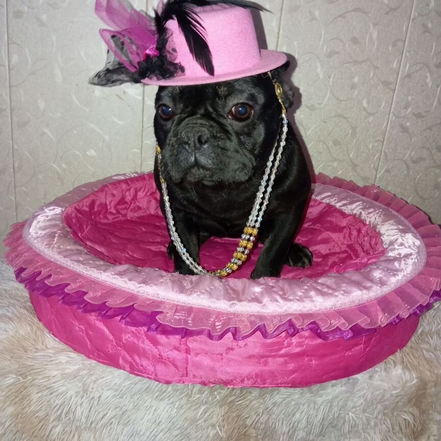 Мадам брошкина