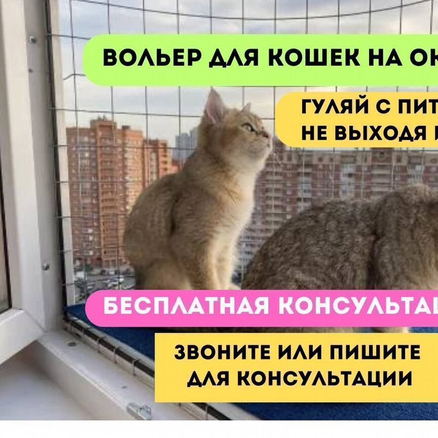 Балкончик для выгула кошки