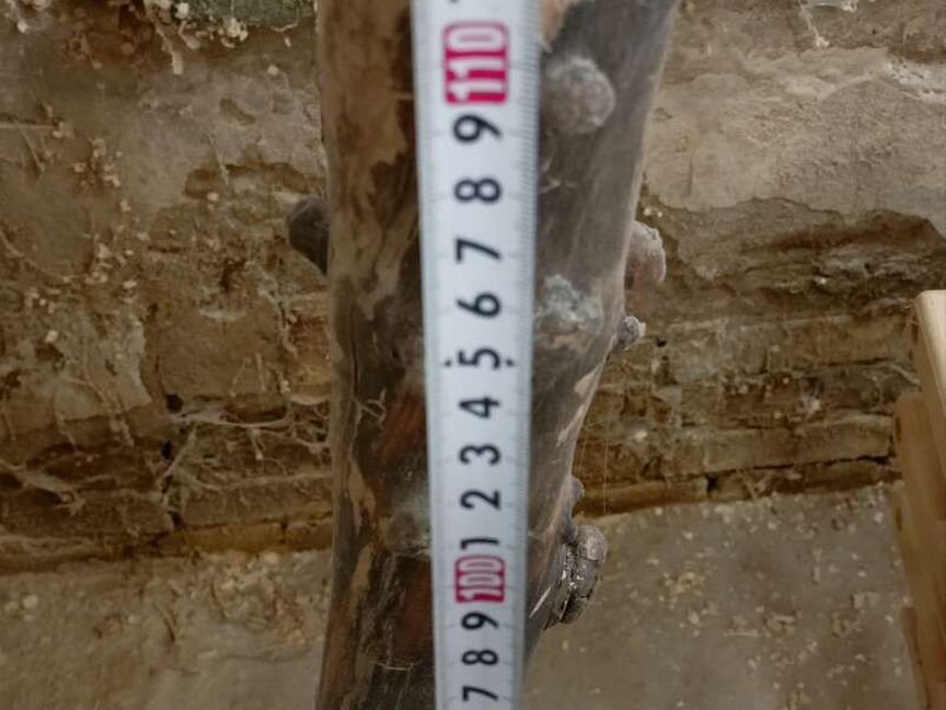 Когтеточка для кошек