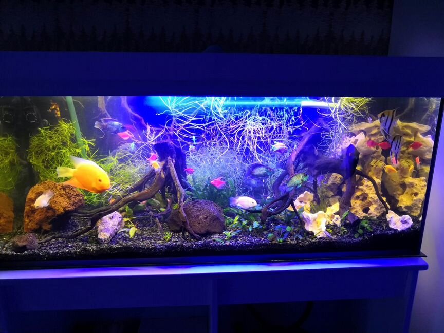 Продам Аквариум 240л