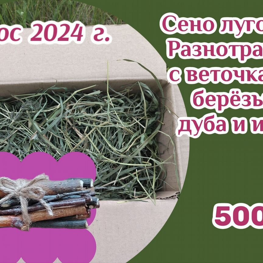 Сено луговое. Разнотравье с веточками деревьев