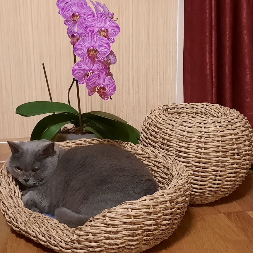 Лежанка для домашних животных