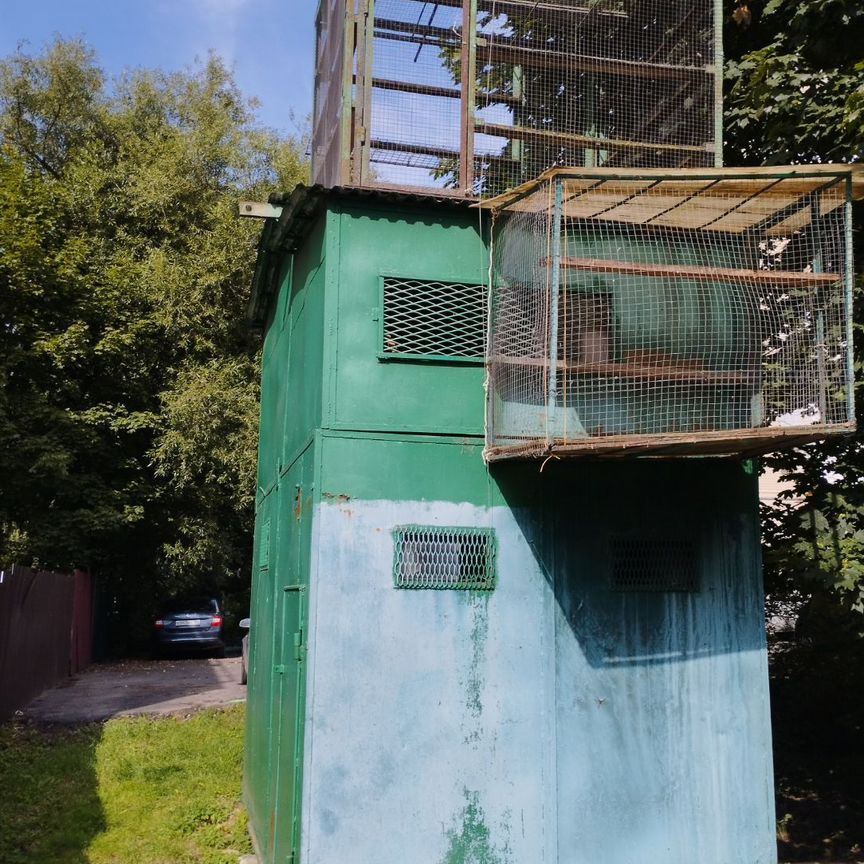 Голубятня продажа