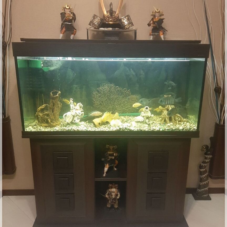 Аквариум 270 литров с тумбой и 21 рыбой