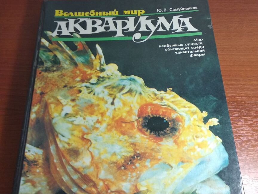 Волшебный мир Аквариума