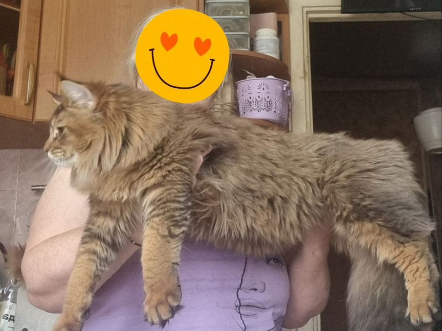 Любовь творит чудеса