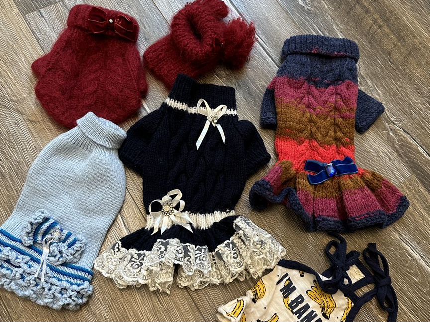 Одежда для маленькой собаки