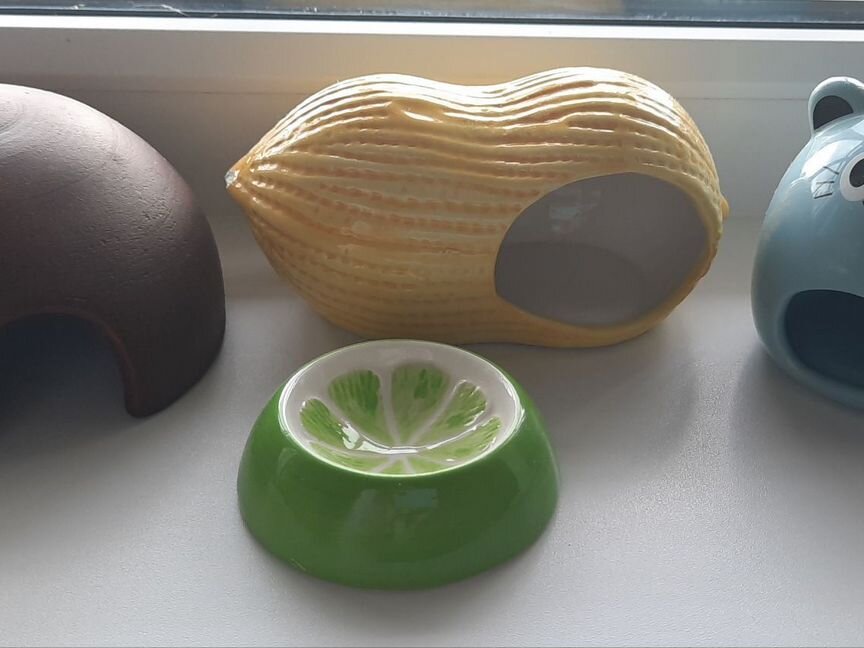 Переноска и аксессуары для хомяка