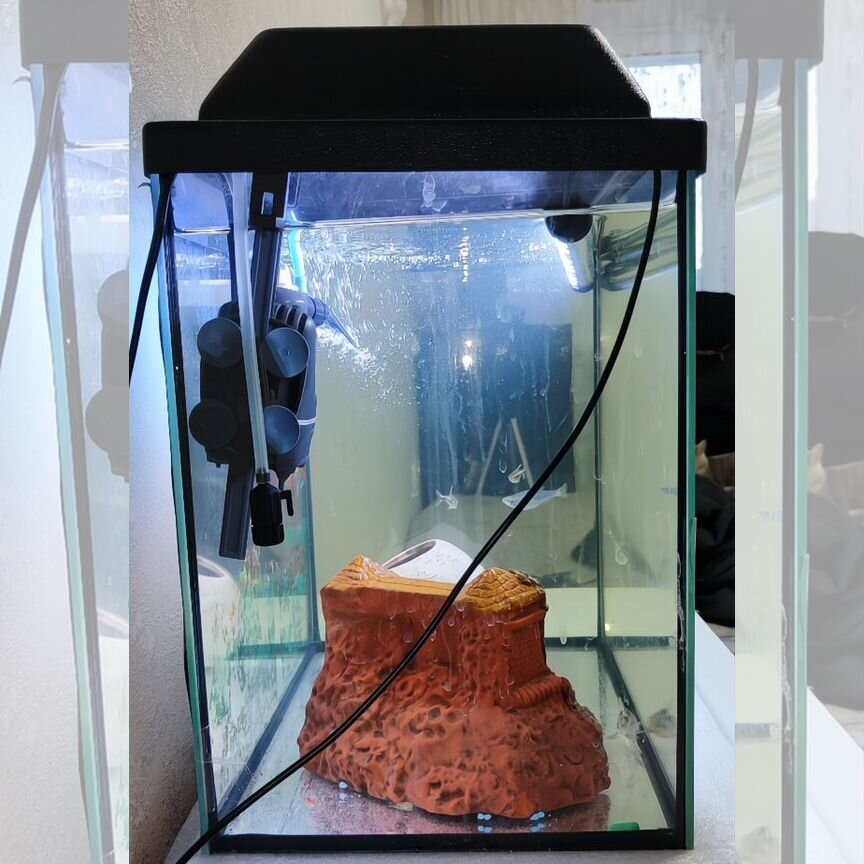 Аквариум на 30 литров