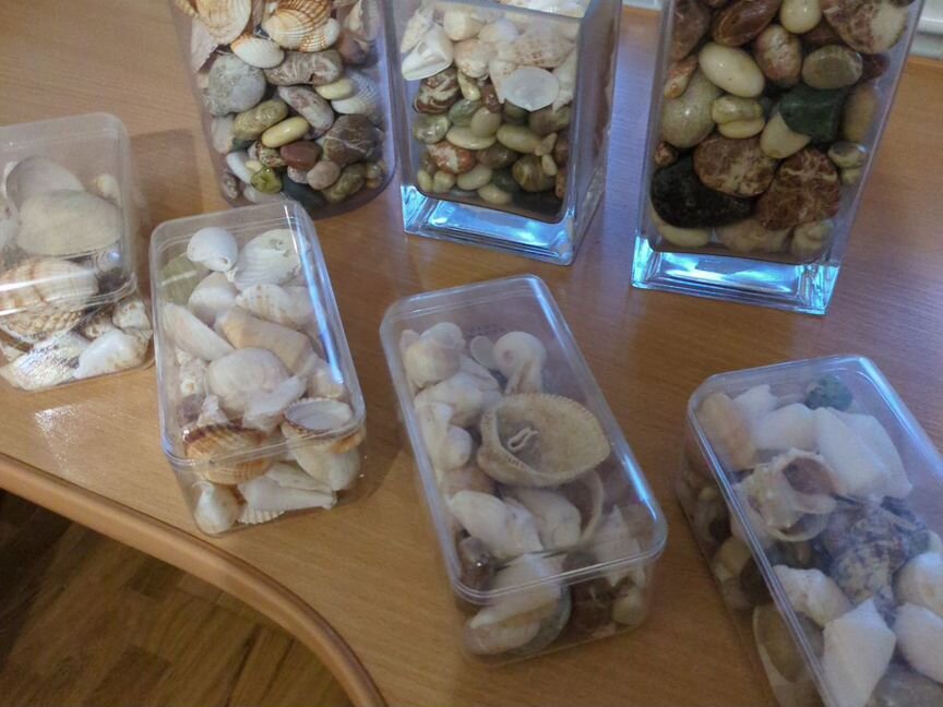 Морские ракушки маленькие