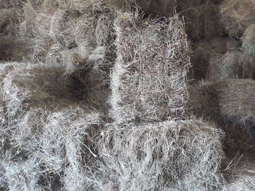 Сено в тюках