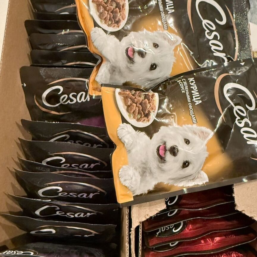 Влажный корм для собак Cesar