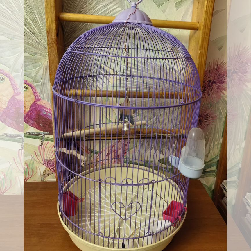 Клетка для попугая