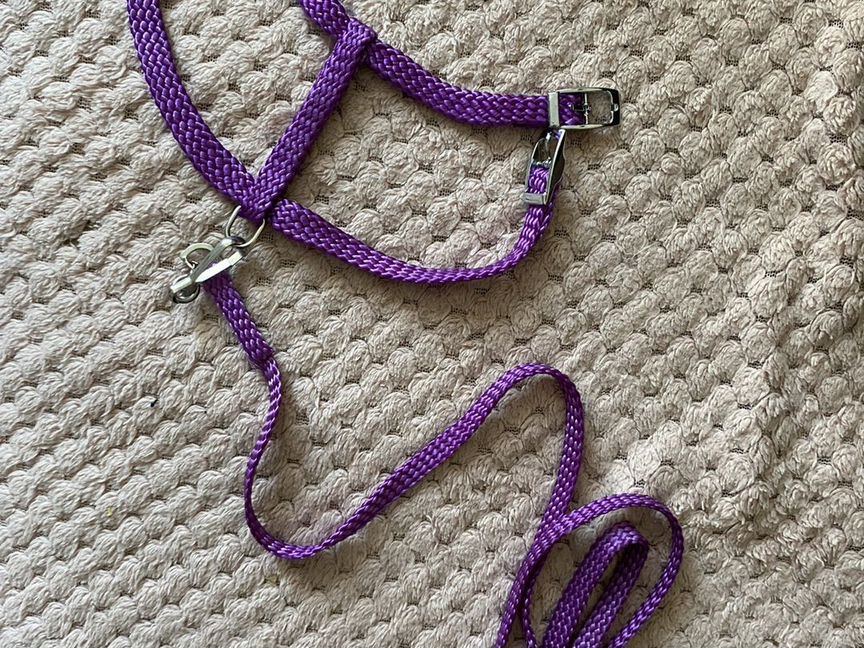 Шлейка для кролика крысы