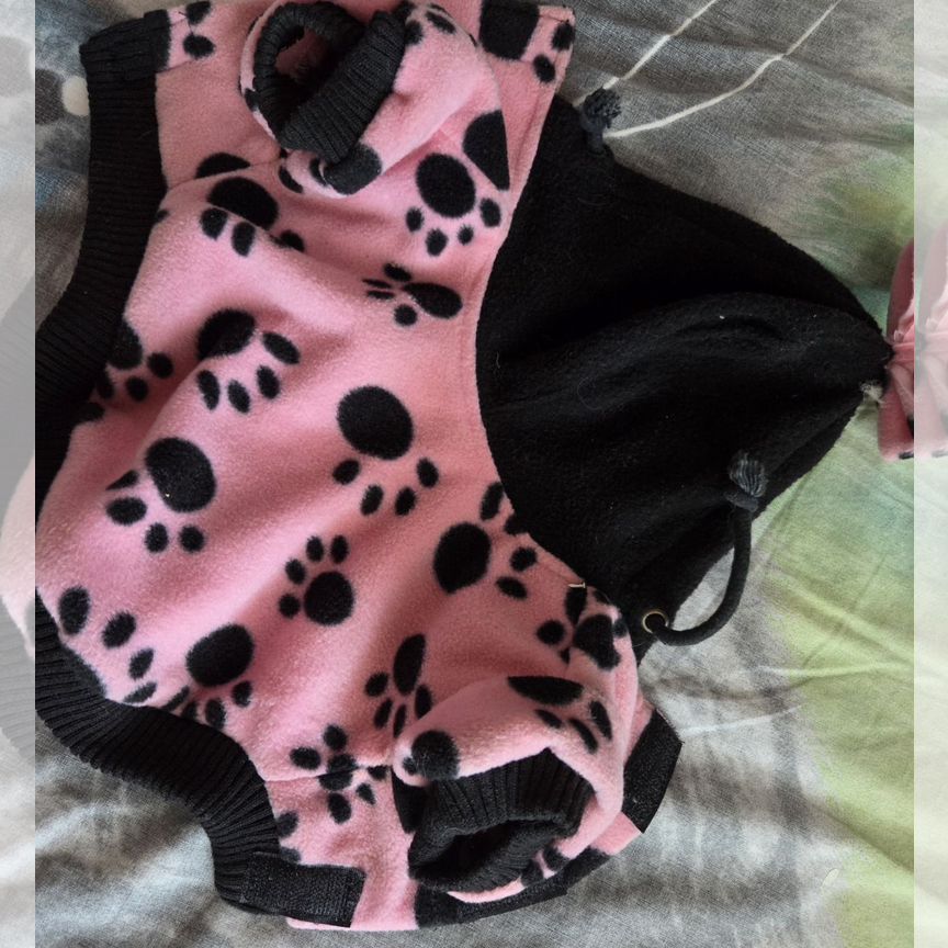 Одежда для собак мелких пород xs