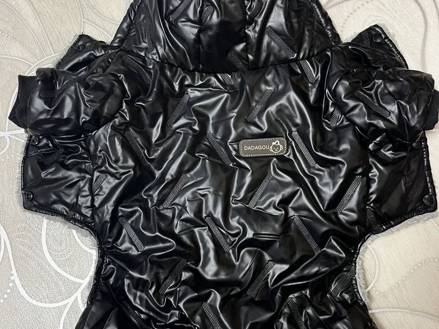 Одежда для собак