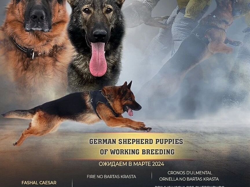 1-девочка 2-мальчик 3-мальчик 4-мальчик 5-девочка