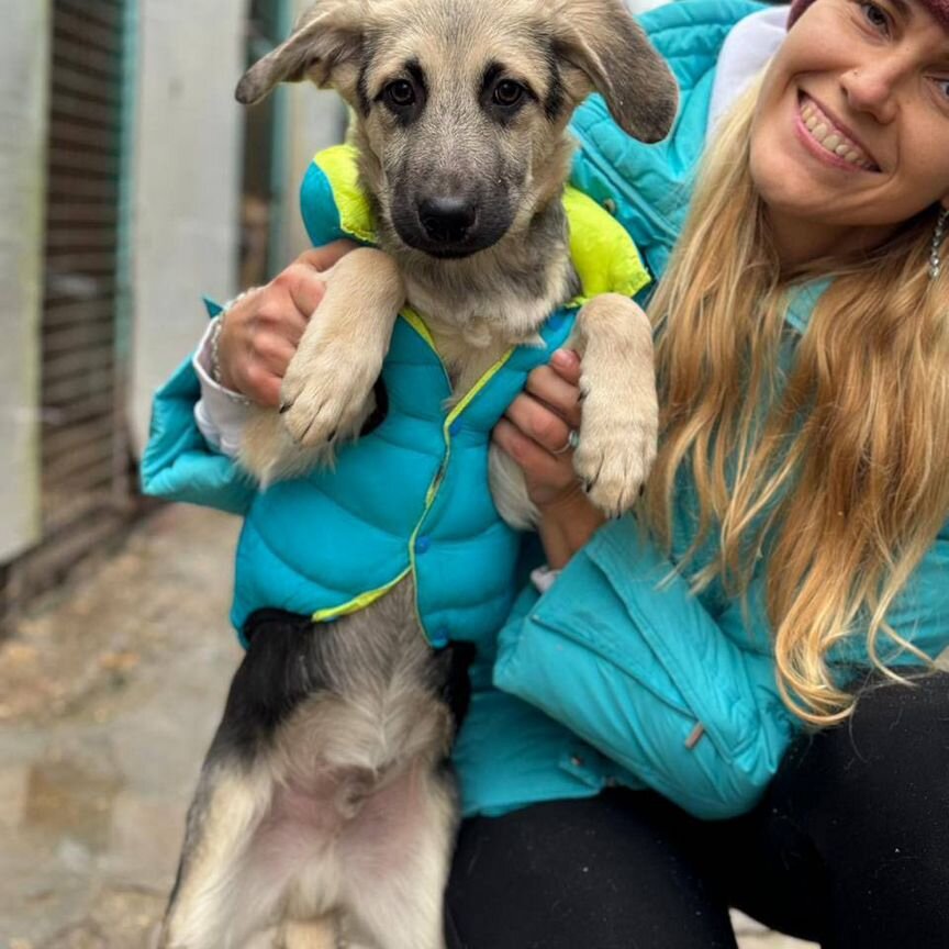 Малыш щенок Нафаня ждет тебя в приюте