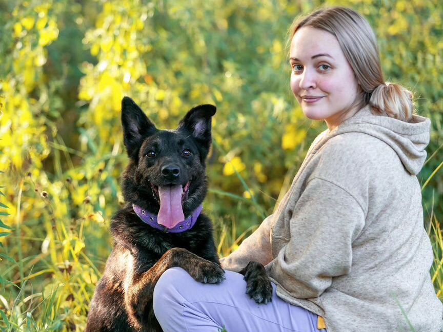 Собака-улыбака из приюта ищет дом