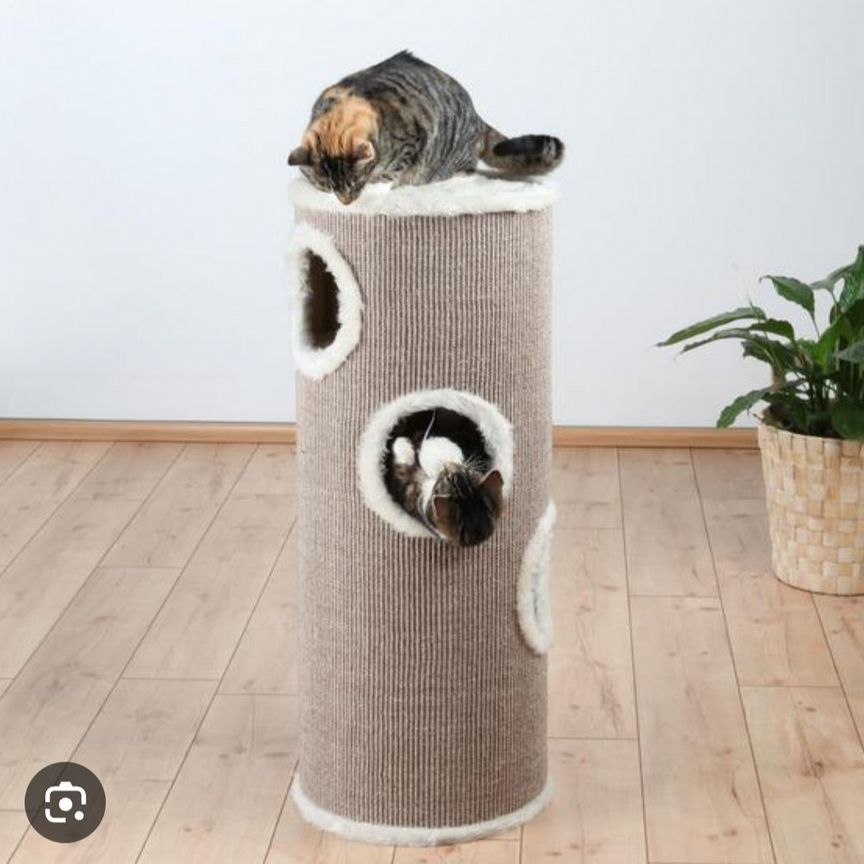 Когтеточка для кошек бу